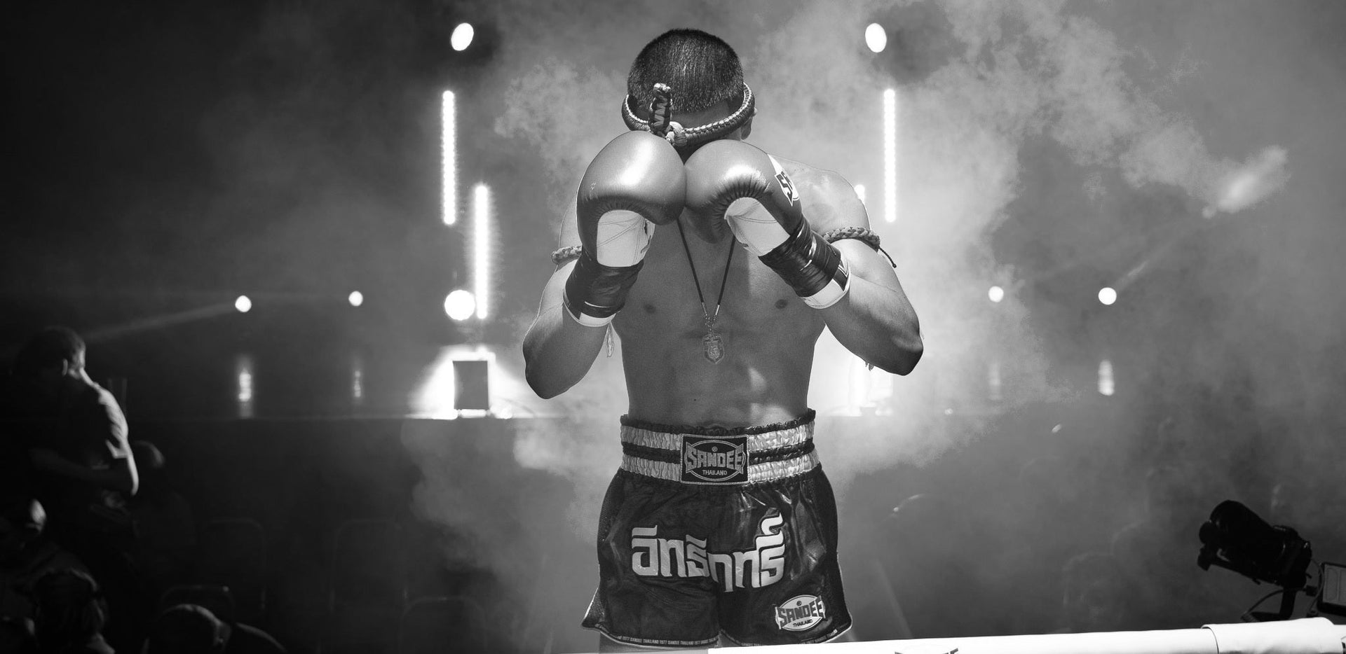 Adult Collection | Premium Quality | Sandee Boxing