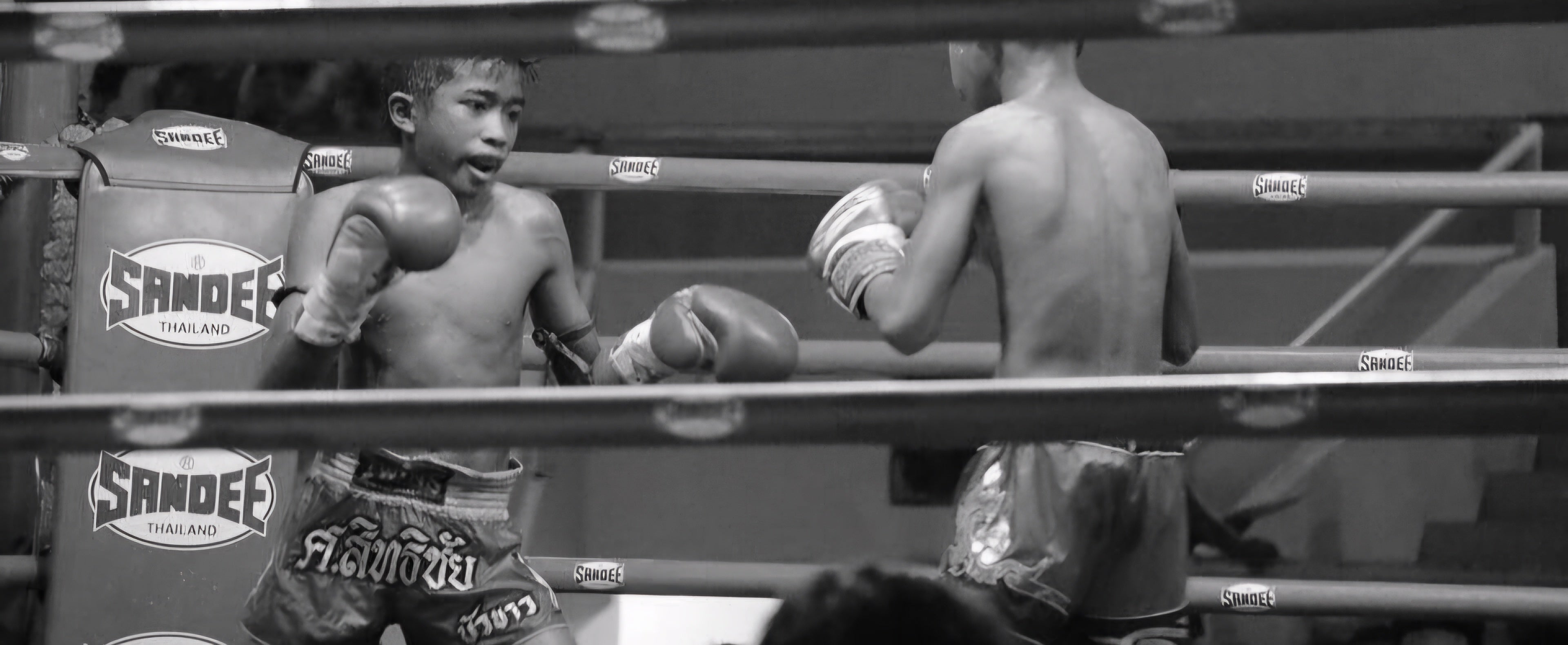 Kids Collection | Stylish & Durable - Sandee Boxing