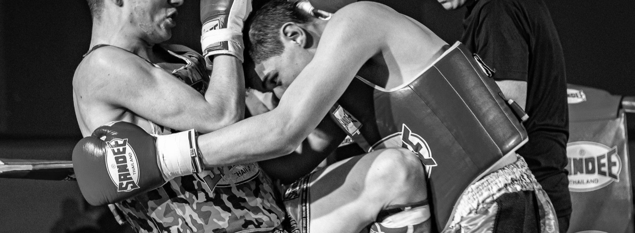 BODY SHIELDS - Sandee Boxing