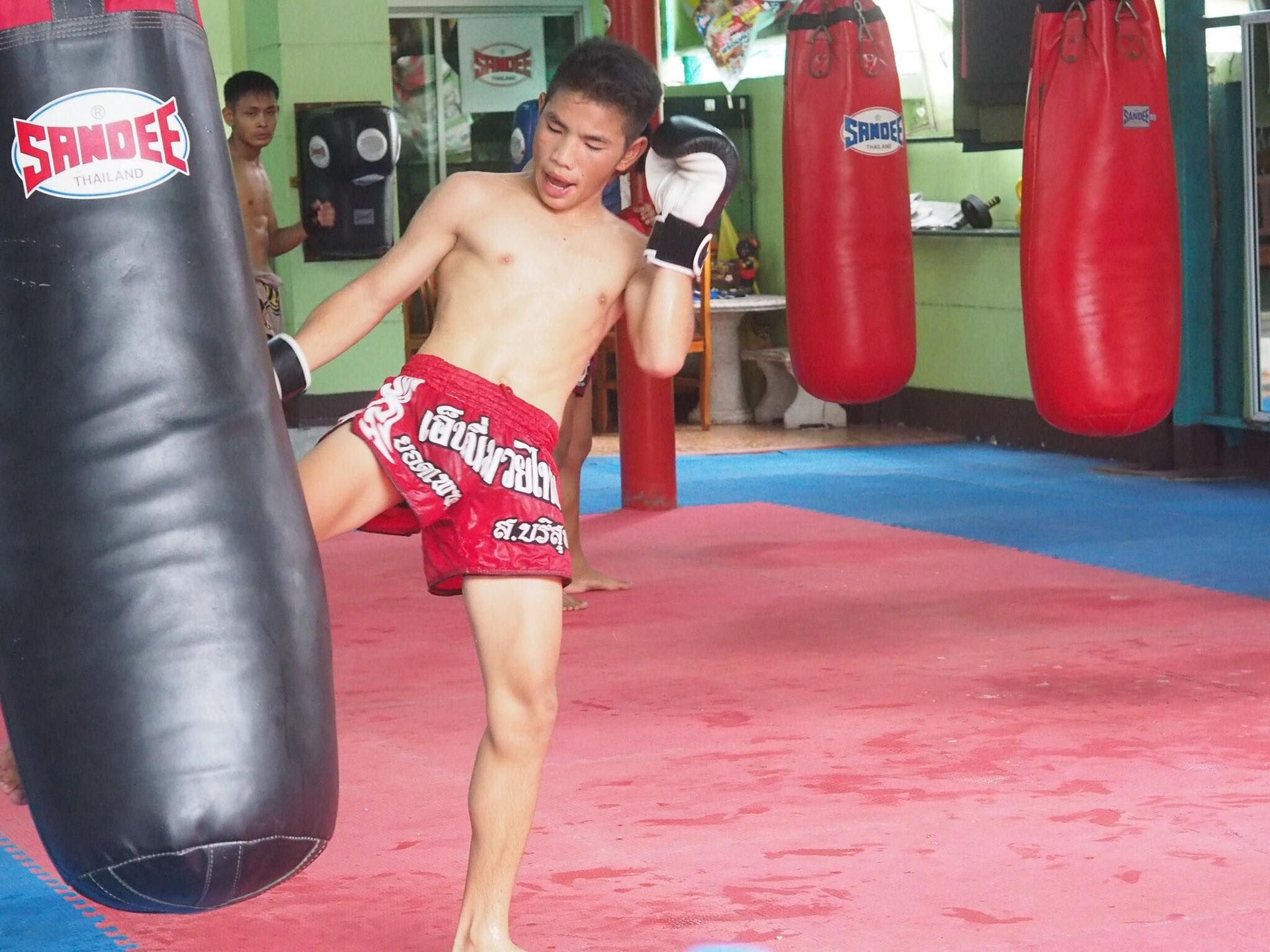 Buy Quality Thai Boxing Equipment Direct From Sandee – Sandee Boxing